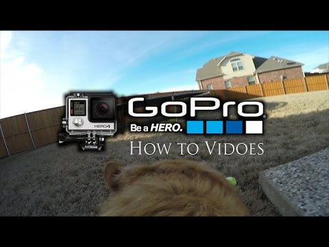 How To: DIY GoPro Dog Mount - YouTube