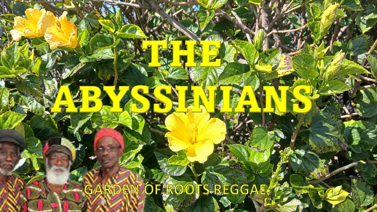 THE ABYSSINIANS | Y MAS GAN | KNOW JAH TODAY | I AND I | GARDEN OF ...