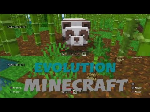 Minecraft Evolution #001 - YouTube