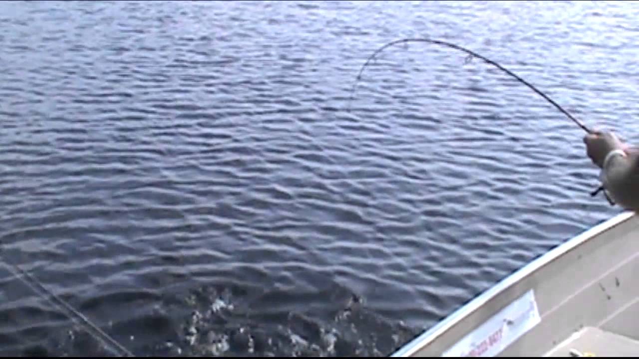 2014 gary with 39 inch pike - YouTube