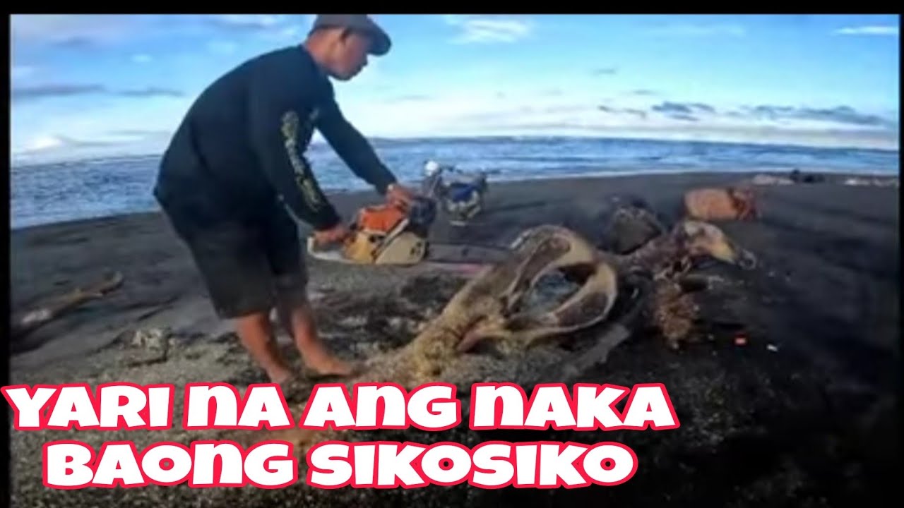 MAY NAKITA NAMAN AKO NANG SIKOSIKO SA BANGKA KO@JaperSniperOfficial ...