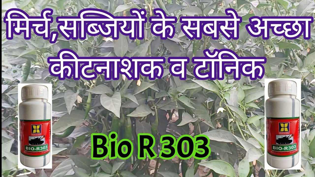 Damman Bio_R-303 |बायो प्रोडक्ट|दमन bio R 303 | Price, Dosage, content ...