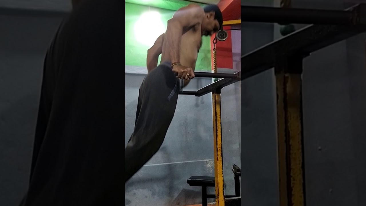 Parallel bar dips 3 sets-4sets 10-15reps - YouTube