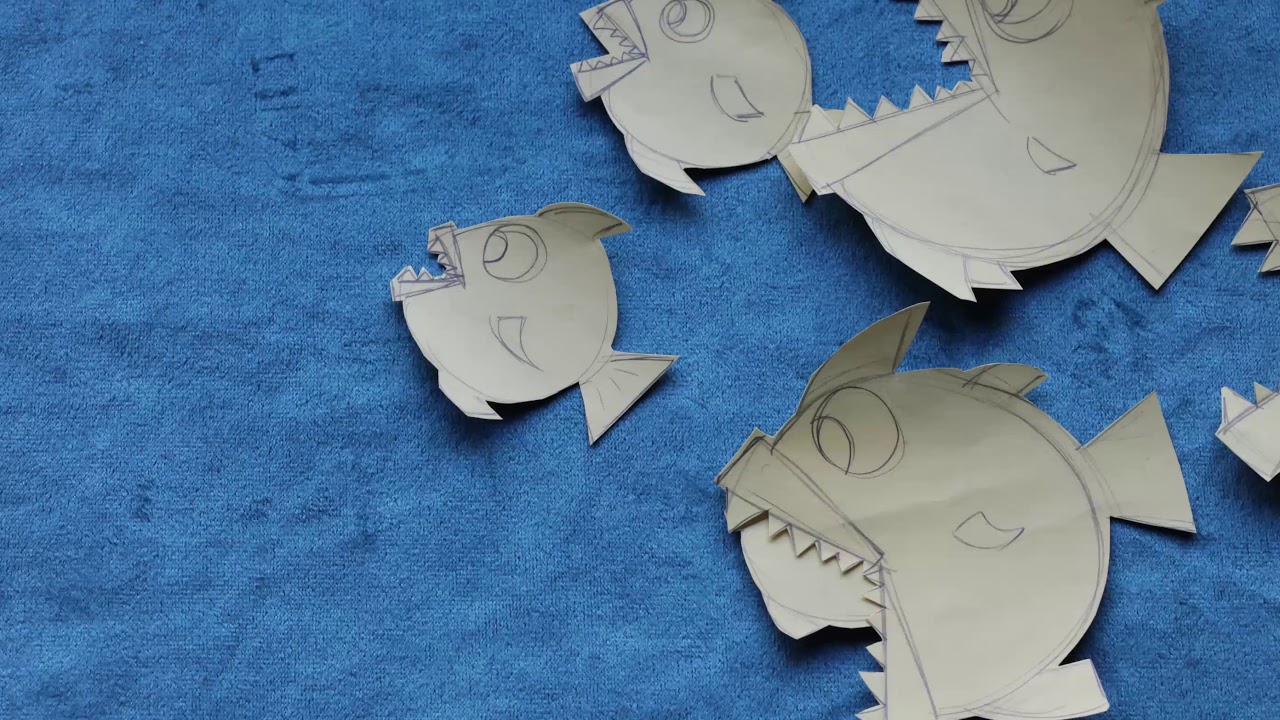 STOP MOTION FİSH - YouTube