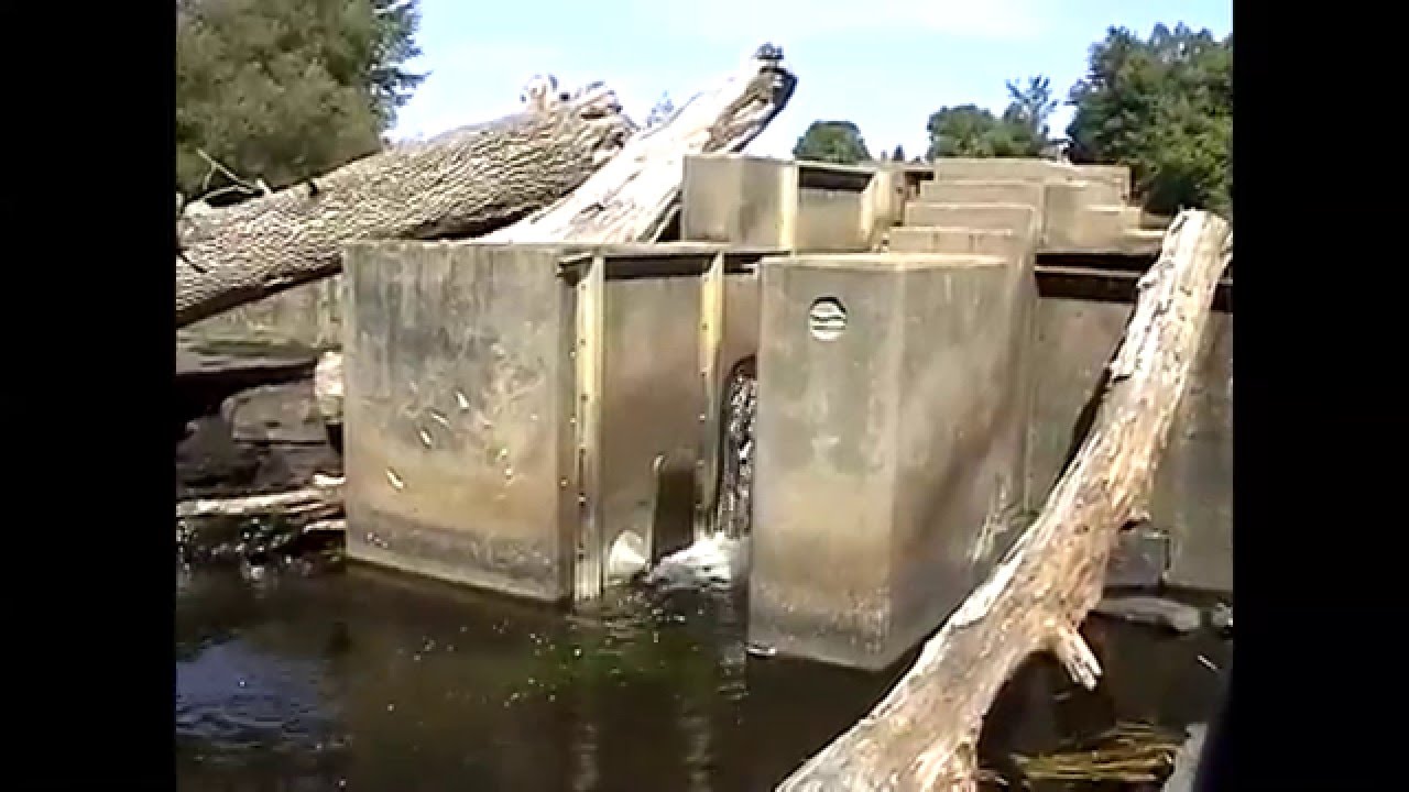 Frog Farm Dam Update 8-20-12 - YouTube