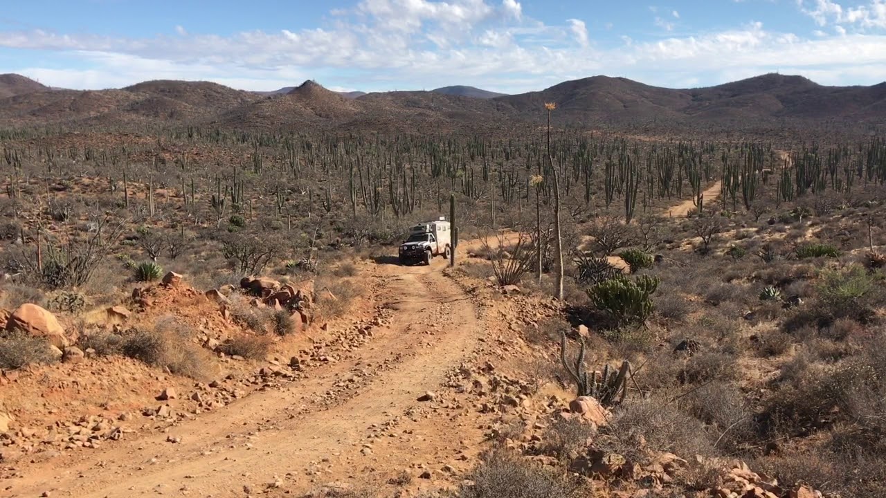 The Turtle Expedition explores Baja - YouTube