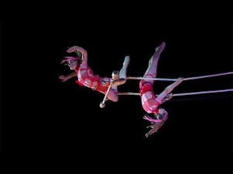 circus I acrobat catching I swinging I kids fun I Joker fun I trapeze ...