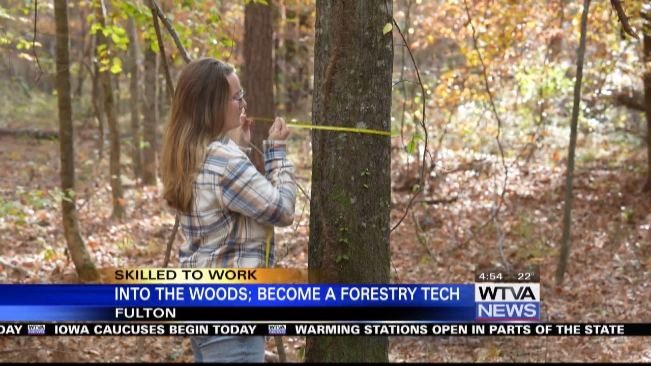 Skilled to Work; How to become a forestry tech - YouTube