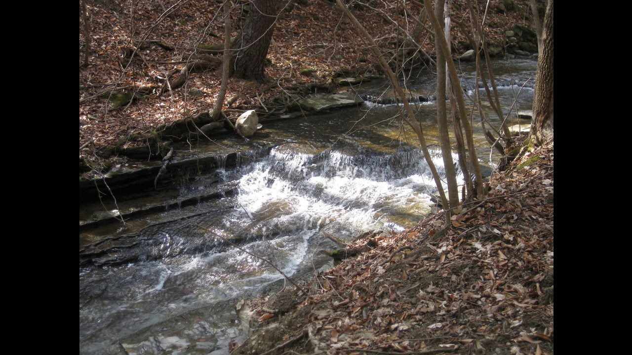 Kyle Packer Memorial - November 21, 1999 - YouTube