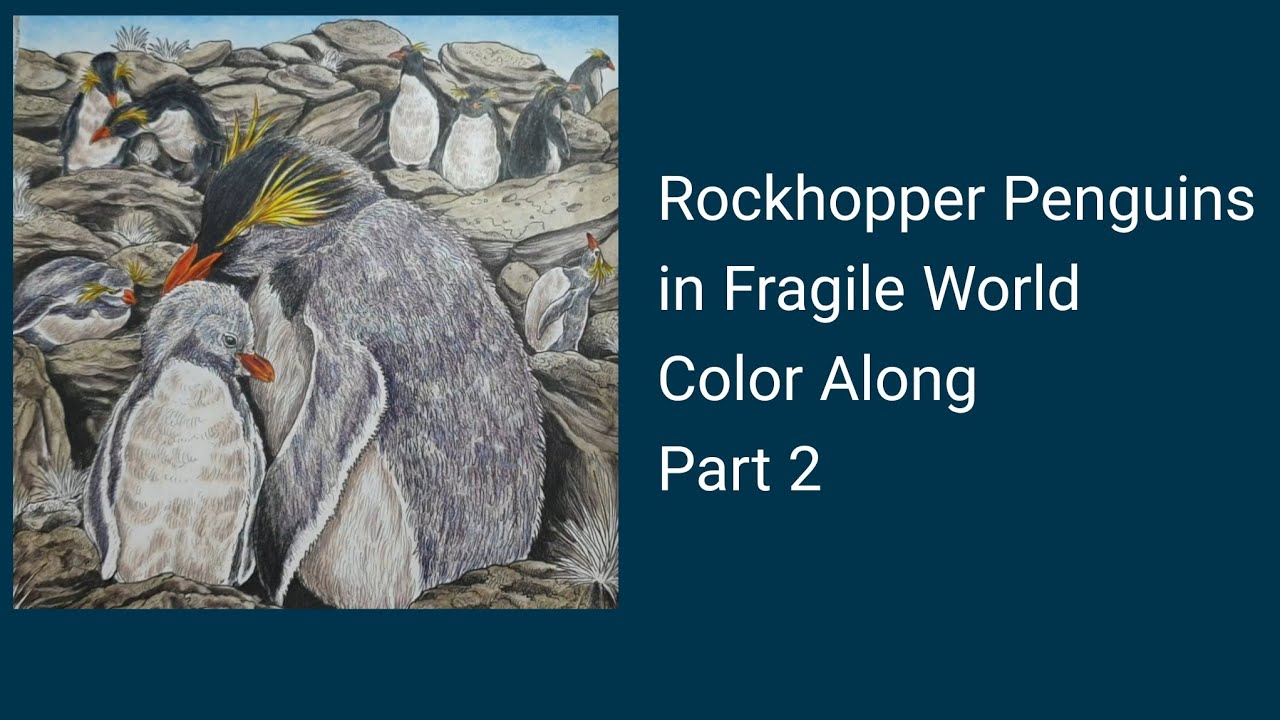Rockhopper Penguins Part 2 Color Along Fragile World - YouTube