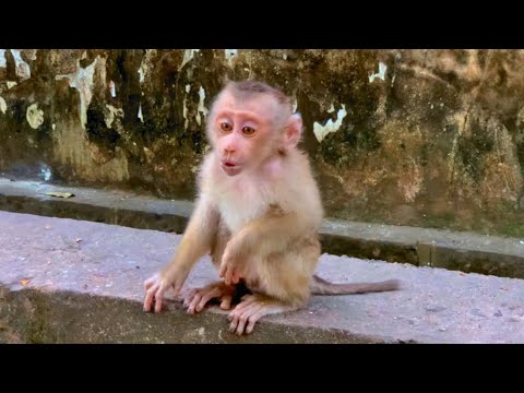 baby Leo is screaming for you, mother, leave your .child alone - YouTube