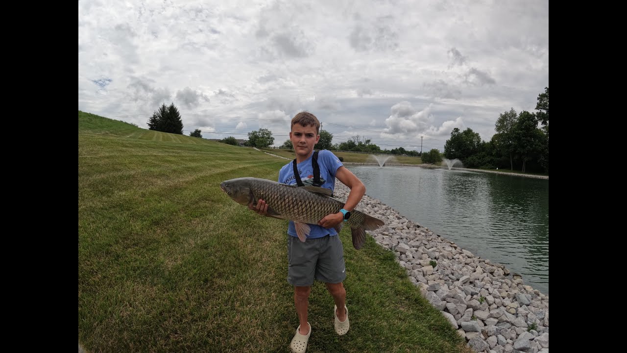 caught a MASSIVE carp on topwater! - YouTube