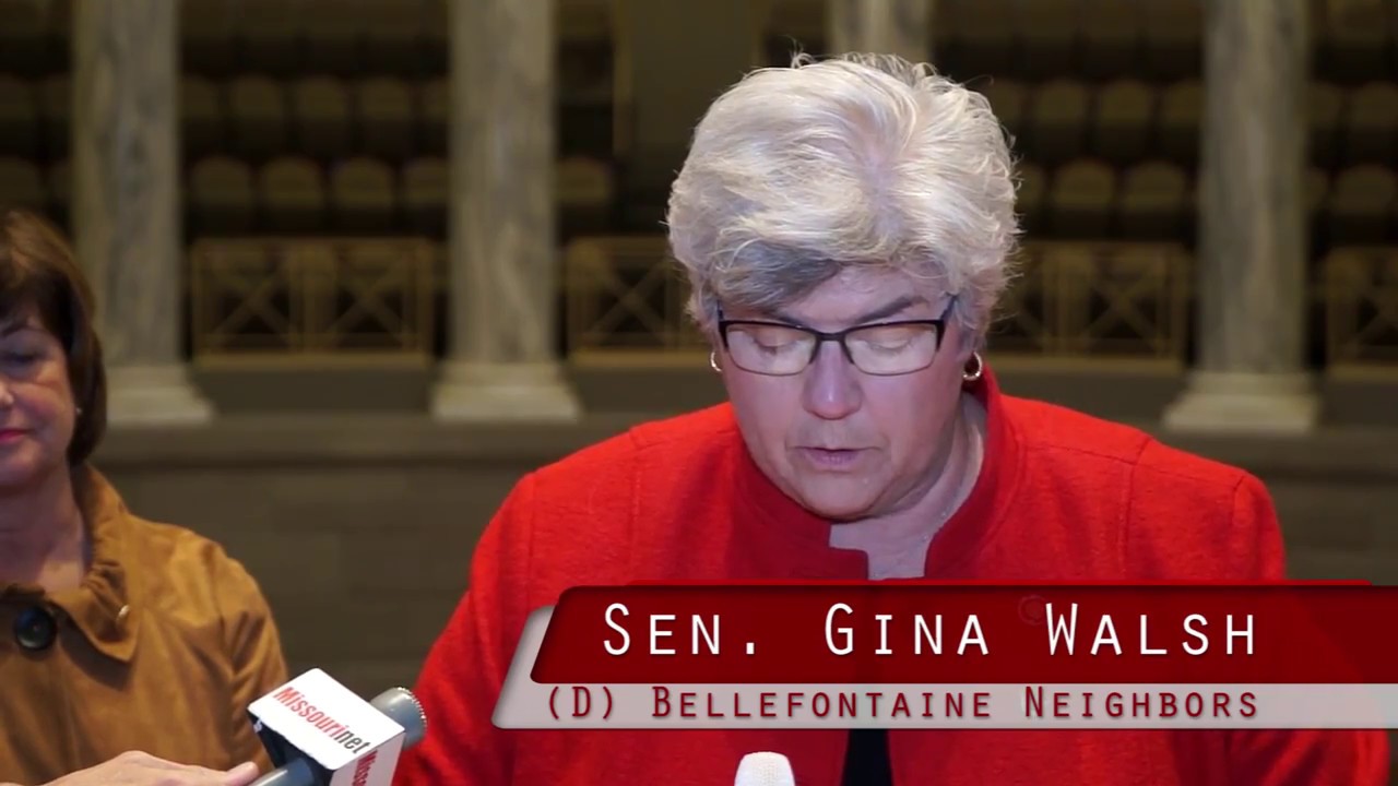Missouri State Senator Gina Walsh Discusses the Past Week in the ...