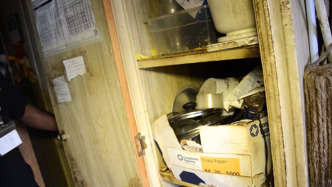 Mobile Home That Roof Rats Took Over - YouTube