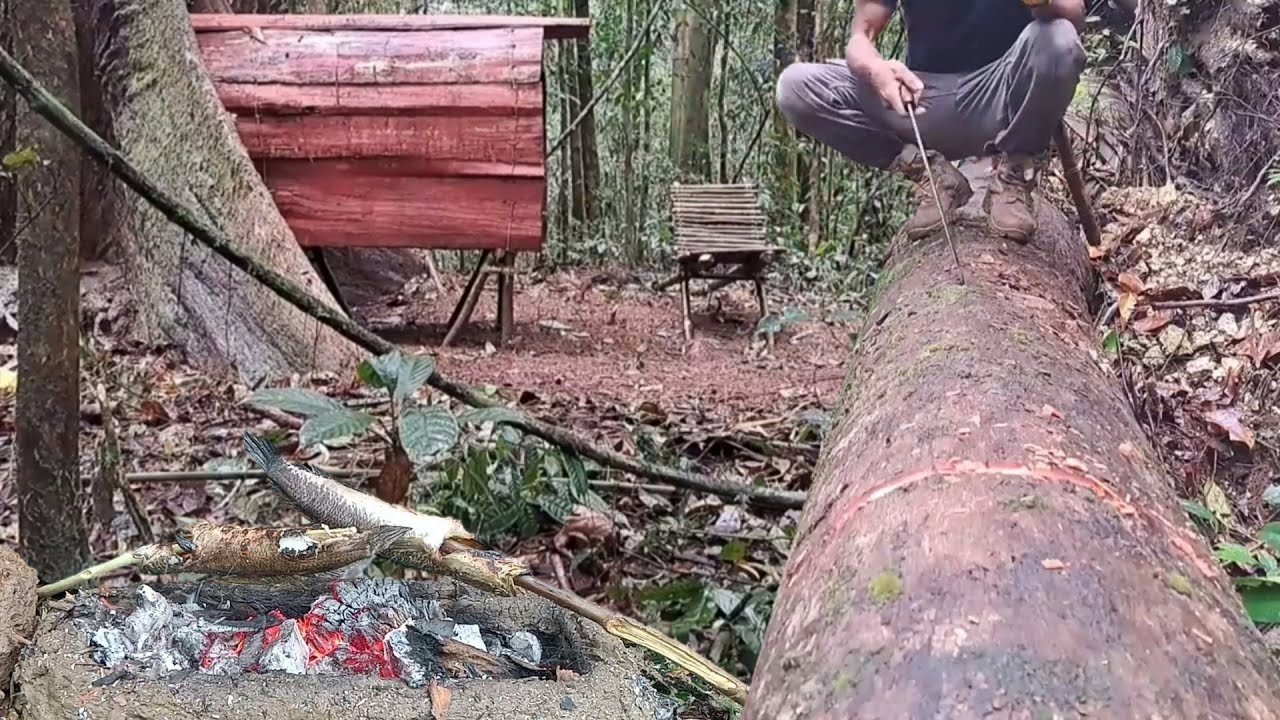 Full of process and skill of making shelter from tree bark - YouTube