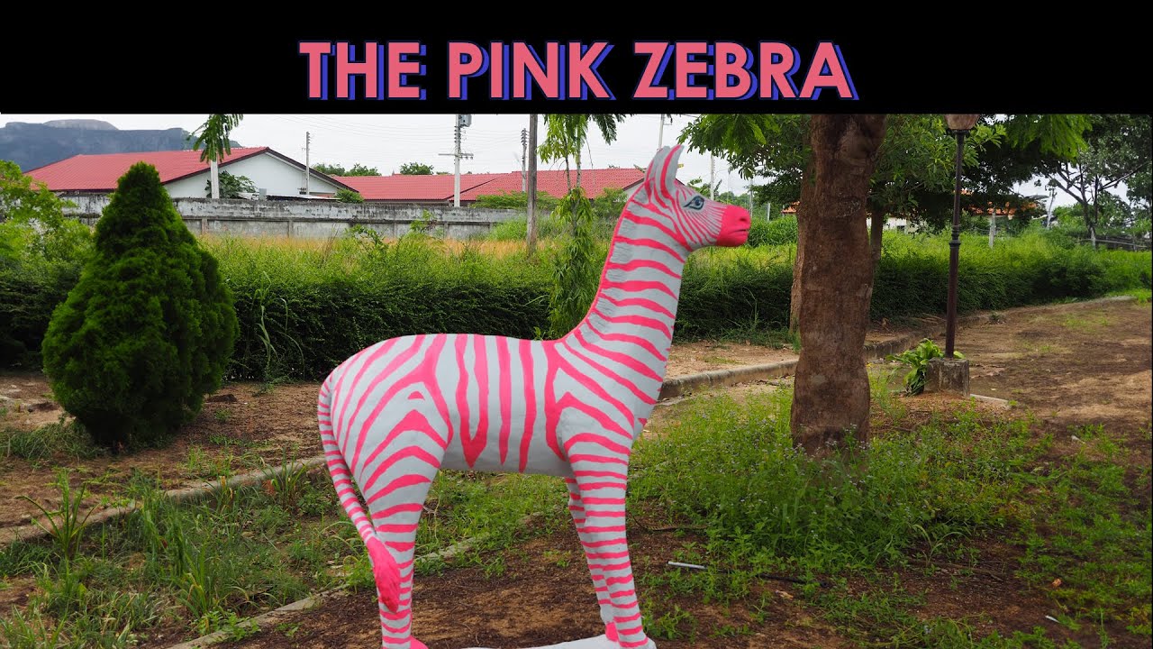 The Pink Zebra - YouTube
