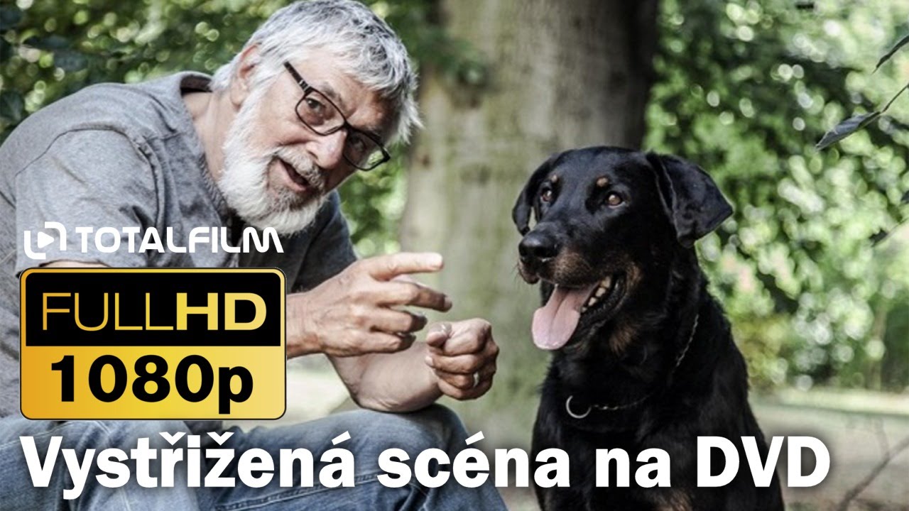 Teorie Tygra (2016) - vystřižená scéna na DVD - YouTube