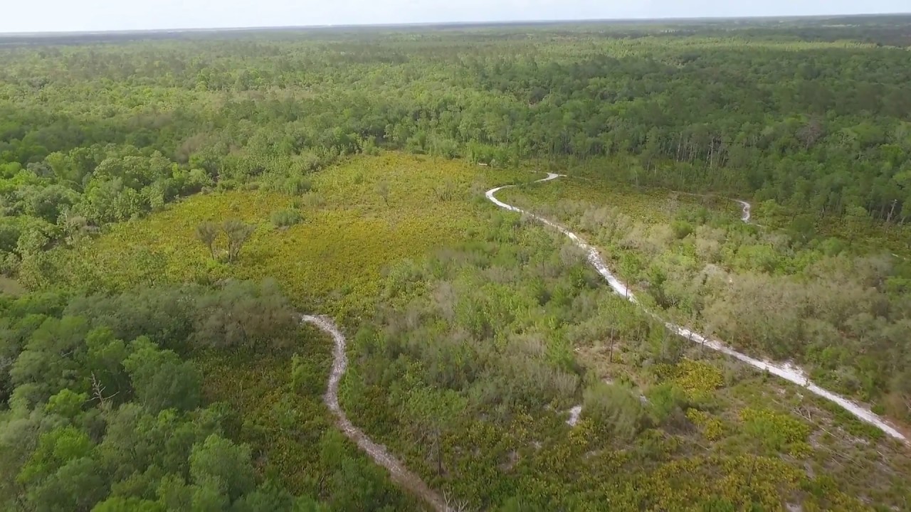 Bird's Eye View of Little Big Econ State Forest in Orlando, Florida ...