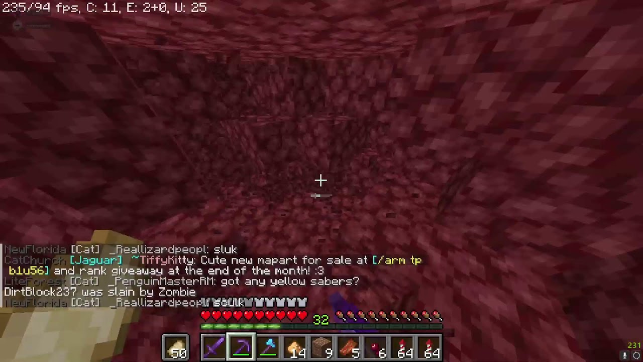 CATCRAFT On Minecraft Java Edition - YouTube