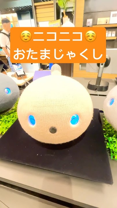 I petted and stroked a cute tadpole-shaped pet robot! #おたまじゃくし #ロボット ...