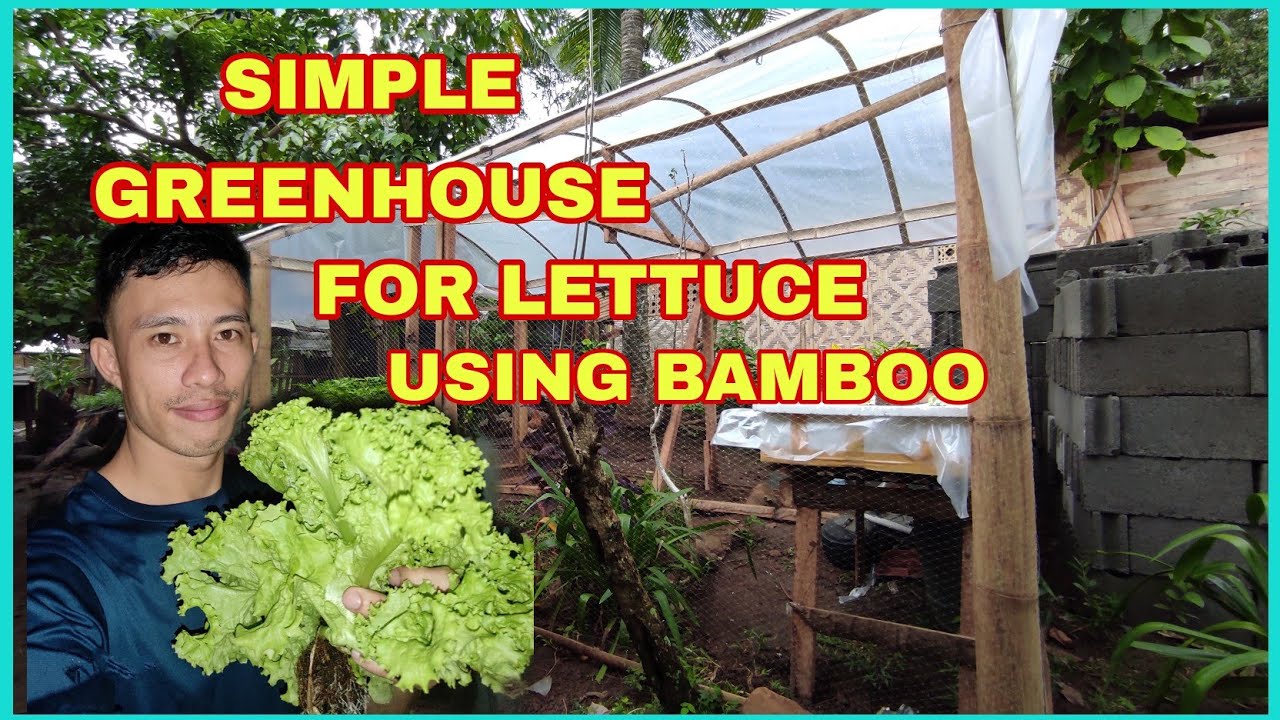 HOW TO BUILD A GREENHOUSE USING BAMBOO [ TIMELAPSE ] Part 1. - YouTube
