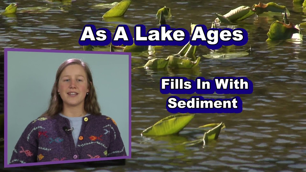 Lake Ecology Educational Program Chapter 3: "Life Cycle of a Lake ...