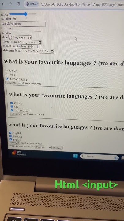 Html Input Type Radio Checkbox Date Date Time Rang Balise Coding Css