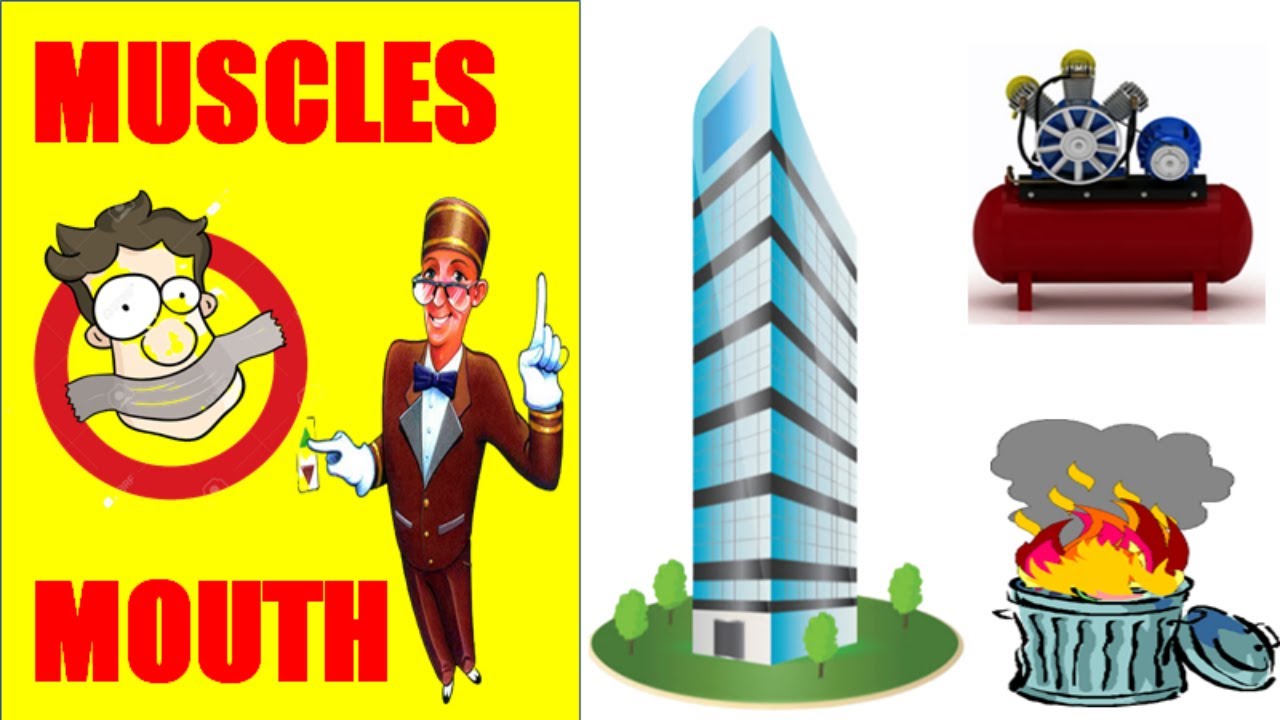 Muscles of Mouth Made Easy - Story Mnemonics (Only 3 minutes) - YouTube
