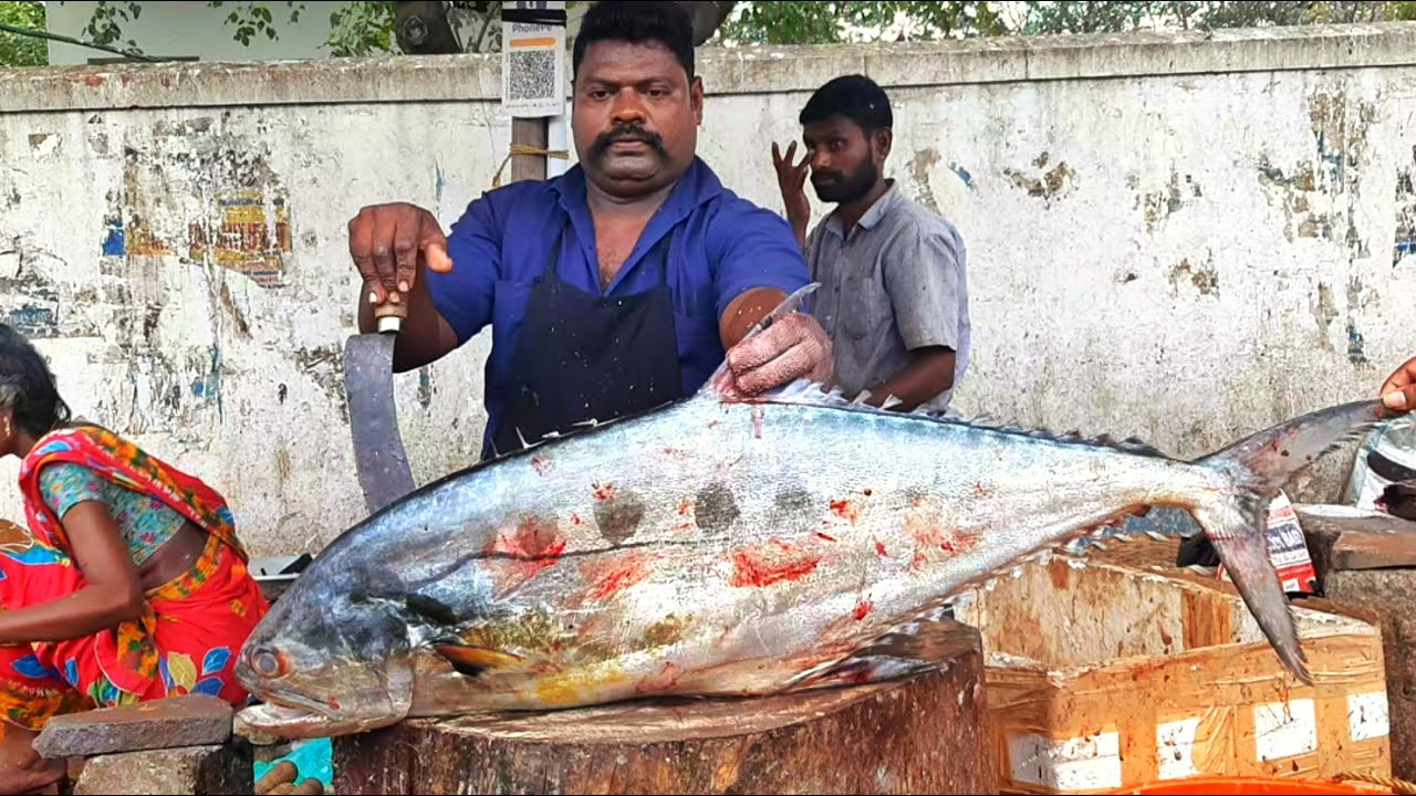 kasimeduselvam💥biggest ♤ thol paarai meen ♤queen travelly fish ...