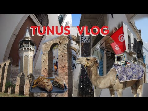 AIESEC İLE TUNUS'TA 45 GÜN | BÖLÜM 1