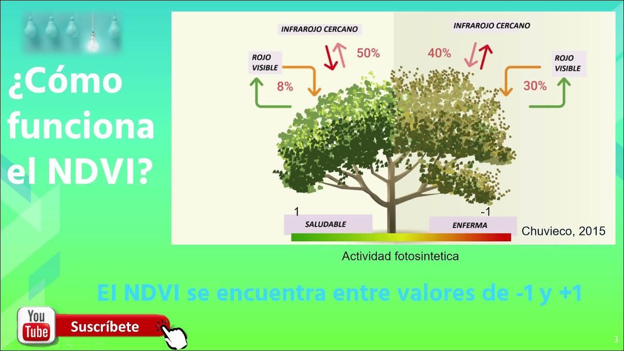 NDVI. Aprende a realizar el Índice de Vegetación Diferencial ...