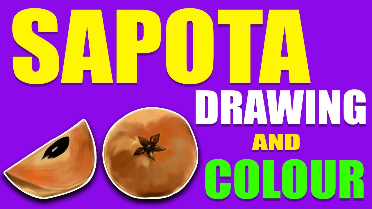 SAPOTA DRAWING AND COLOUR | Chiku drawing | How to draw sapodilla ...