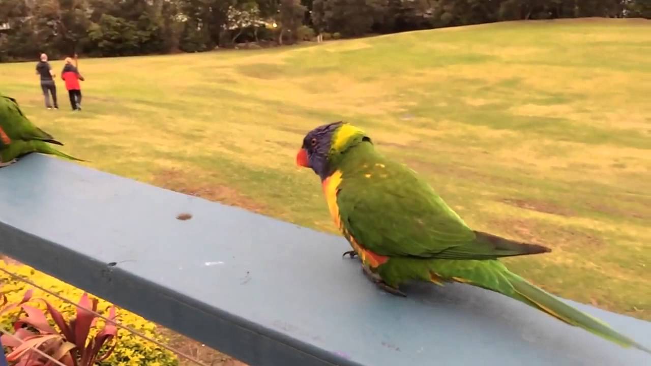 Life in Slow Motion - YouTube