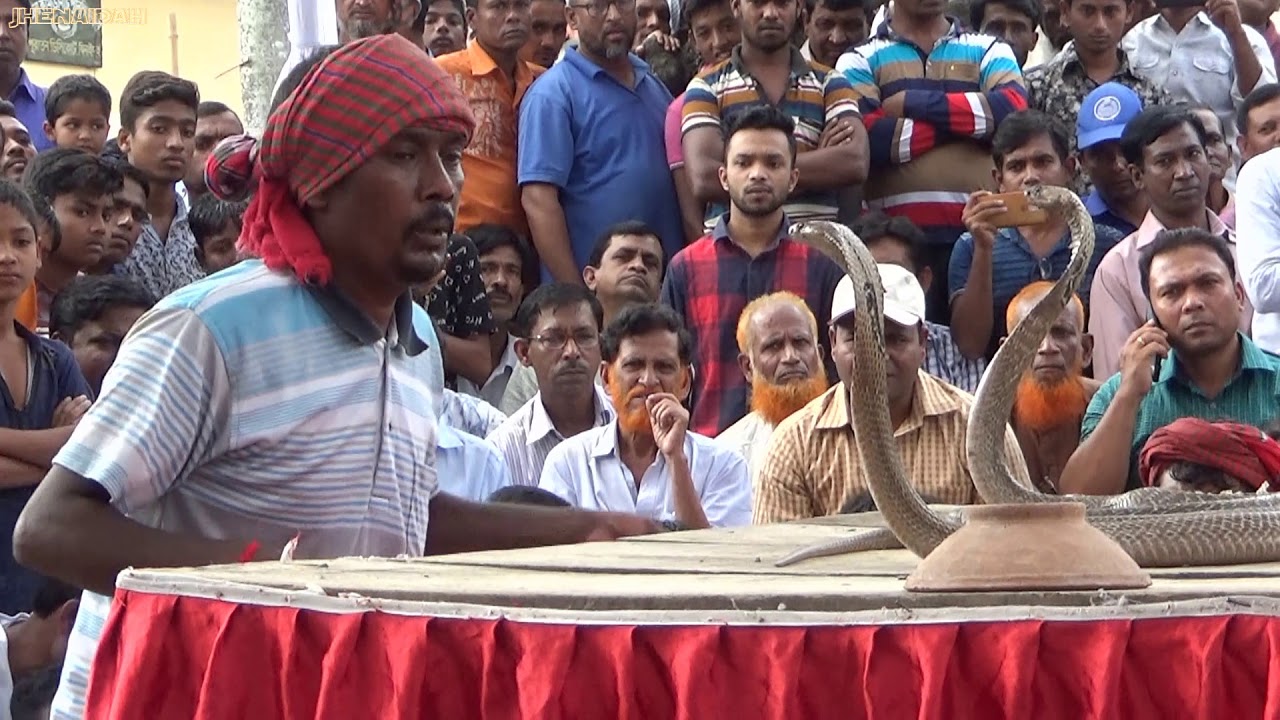 The Street Performer | Amazing Snake Charmer | Cobra Snake Dance - YouTube