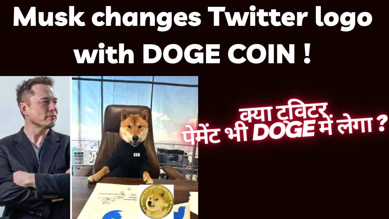 Elon Musk changes Twitter logo with Doge meme Coin | क्या ट्विटर पेमेंट ...