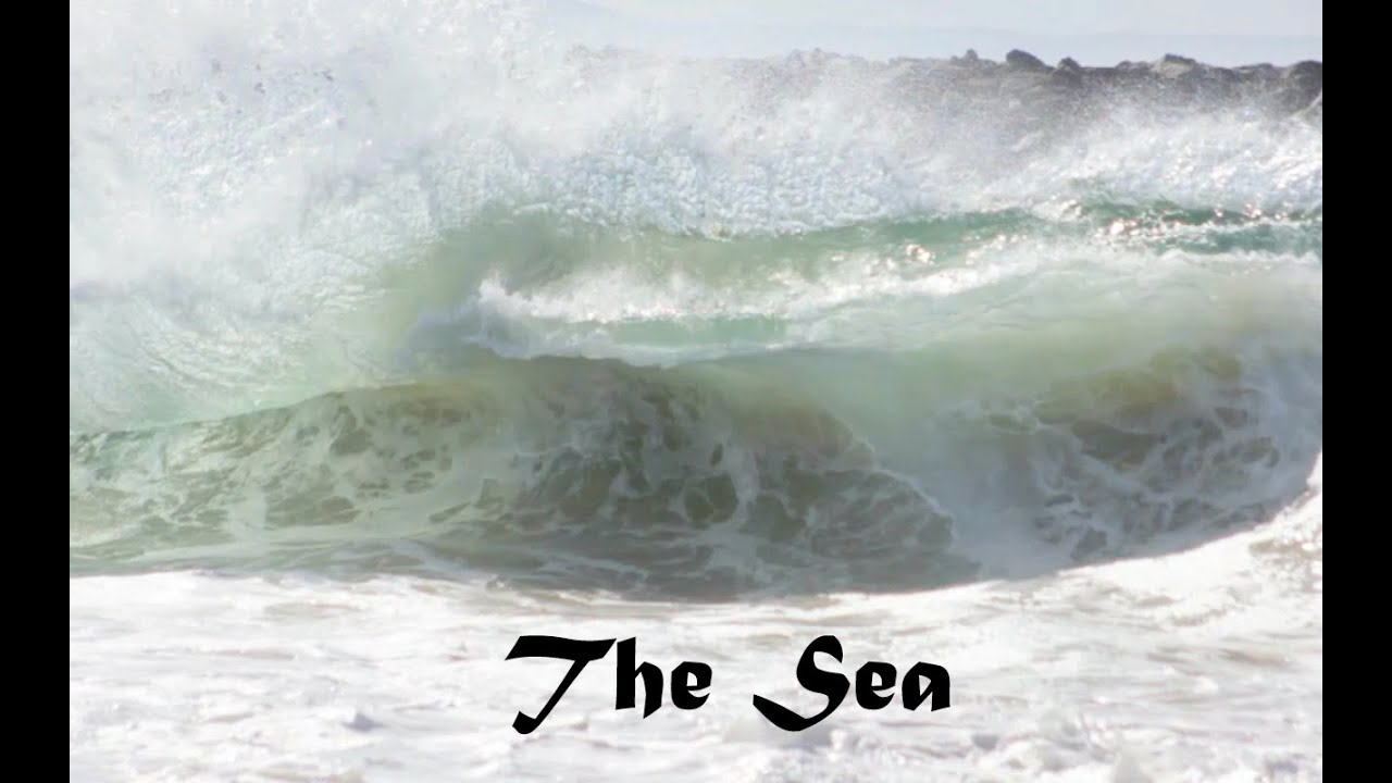 Committed to the Sea | The Wedge | April 16, 2015 - YouTube