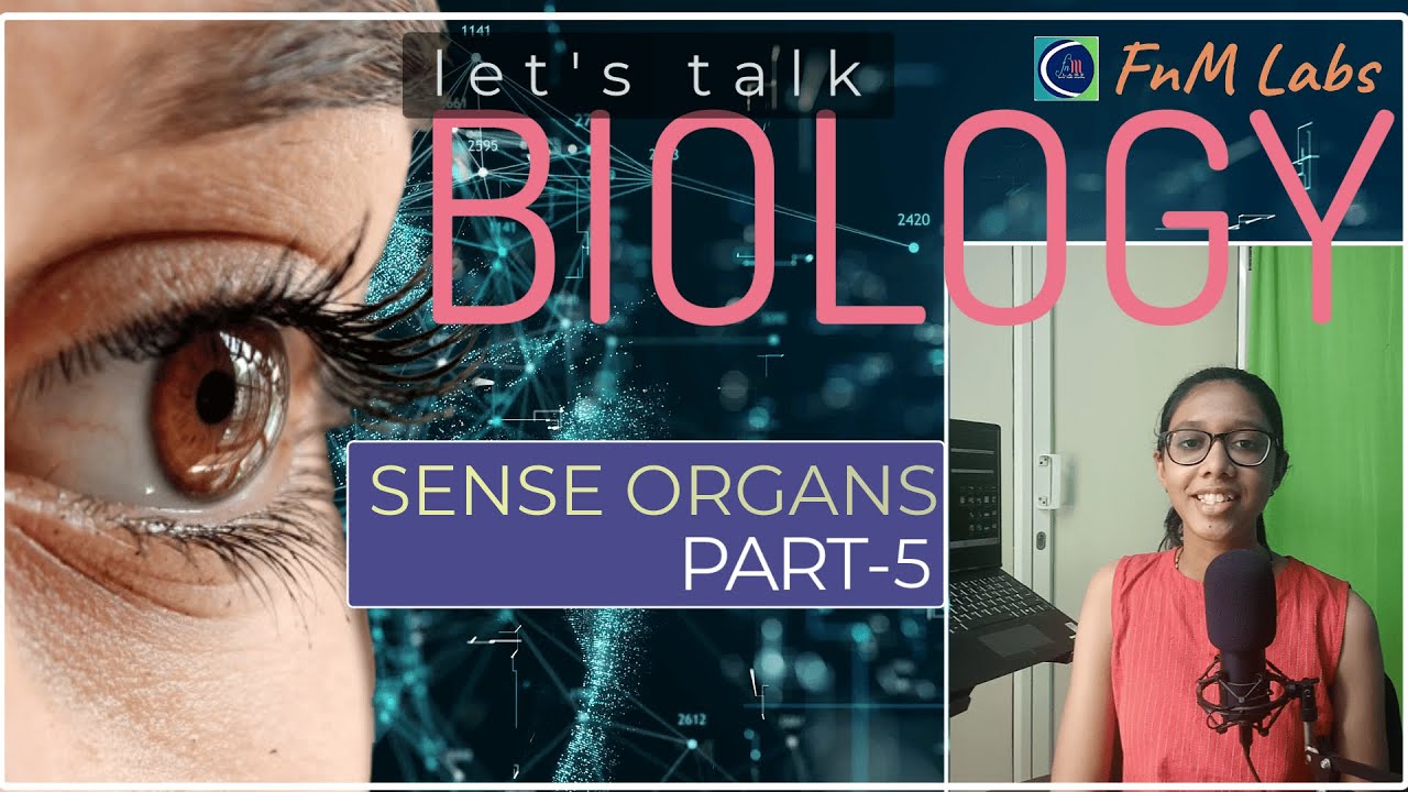 Sense Organs - Eye - Part 5 (based on Class 10 ) - YouTube