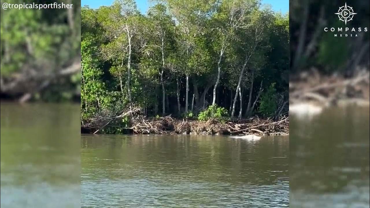 Cannibal Crocodile Death Rolls Rival - YouTube