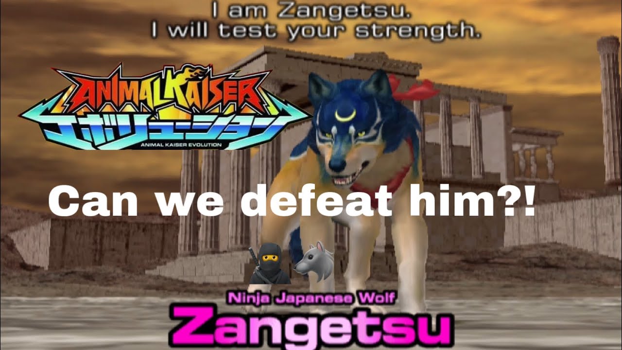 *NINJA MASTER ZANGETSU APPEARS!!!* Animal Kaiser Evo 3. Strong mode ...