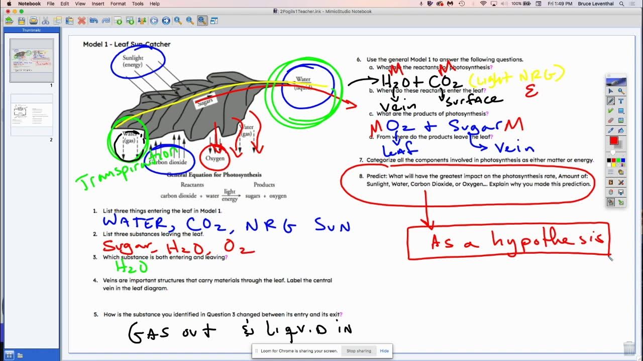 POGIL Overview Photosynthesis - YouTube