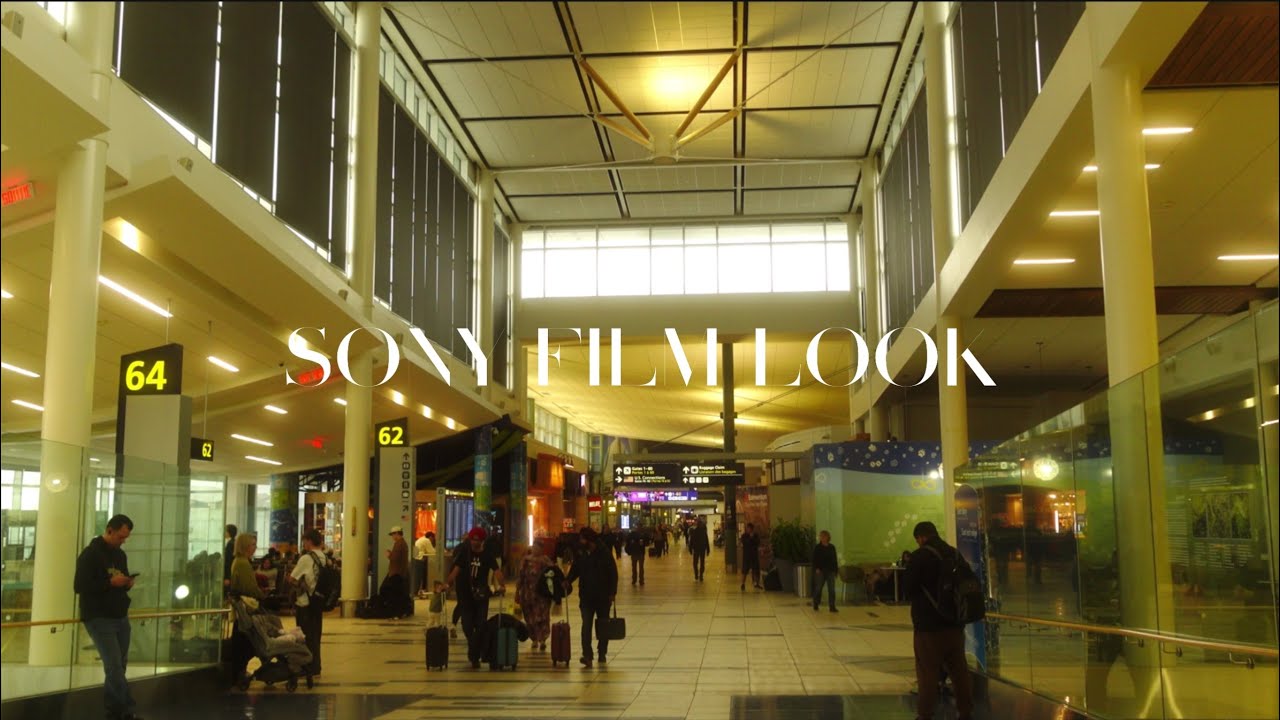 Sony Film Look Color Profile | Creative Style Recipe | ZV-1 a7III a7C ...