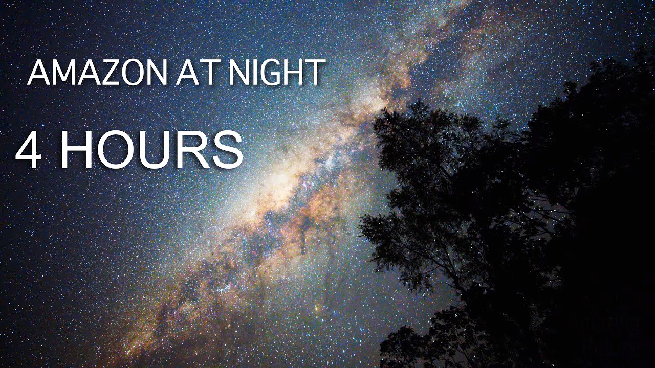 Jungle Sounds at Night: Deep in the Amazon Rainforest Of Ecuador - 4 ...