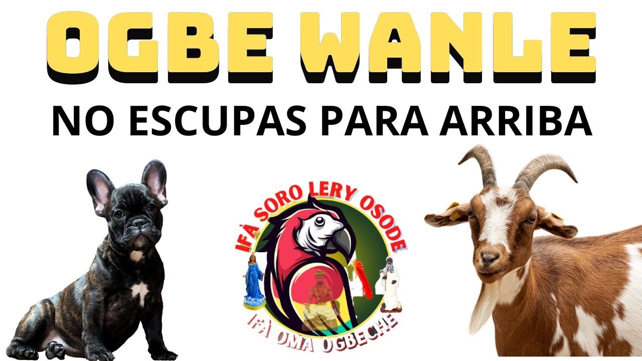 OGBE WANLE( EL OUNKO Y EL AYA)..🙏🦜 - YouTube