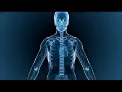 Синхровитал VI (Живая клеткаVI) - YouTube
