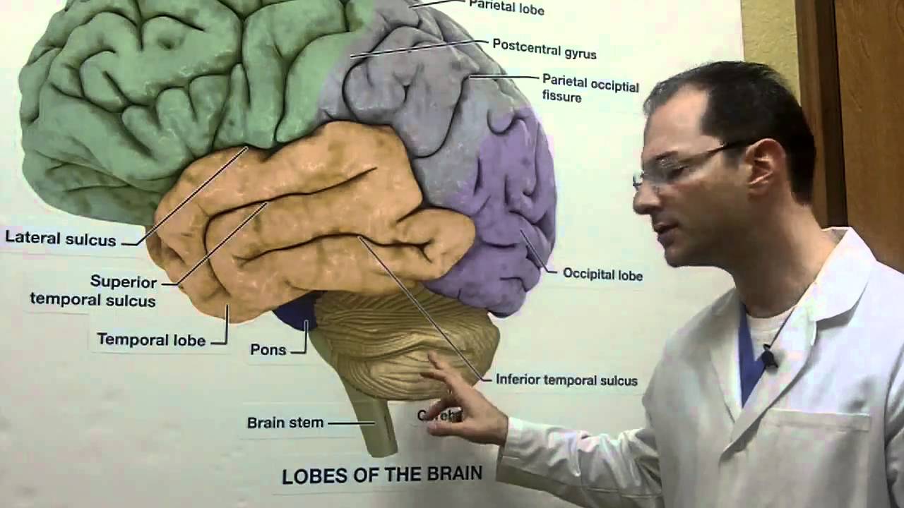 Neuropathy.Brain.MOV - YouTube