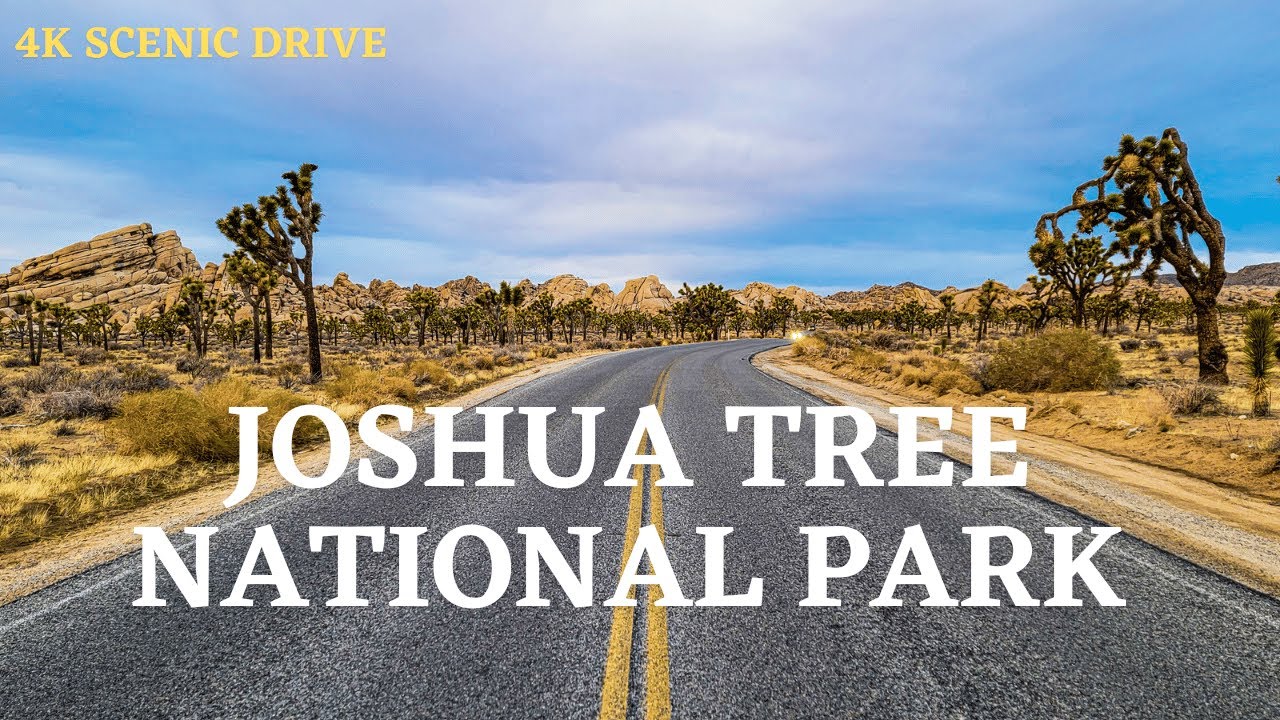 The Ultimate Joshua Tree National Park Driving Tour 4K - YouTube