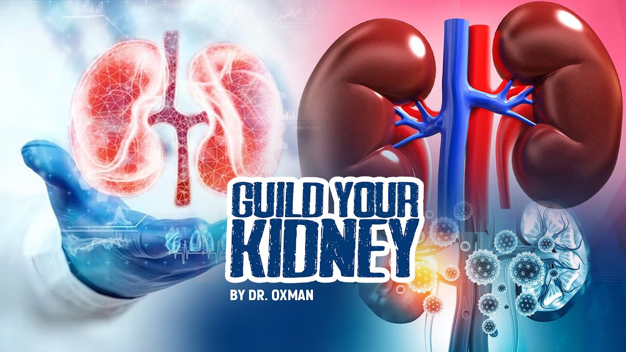 [Must Watch] How to protect your kidney by Dr. Oxman - YouTube