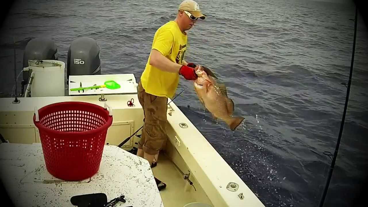 South West Florida Offshore Grouper/Tuna Fishing February 2014 - YouTube