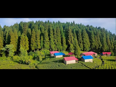 Explore East Nepal Ilam Bazar to Fikkal || Shree Antu || Nepal trip ...