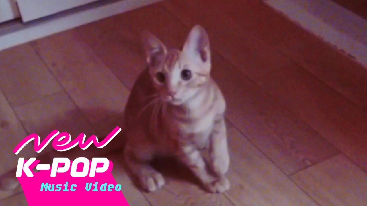 [MV] panda get dummy - cornelius - YouTube